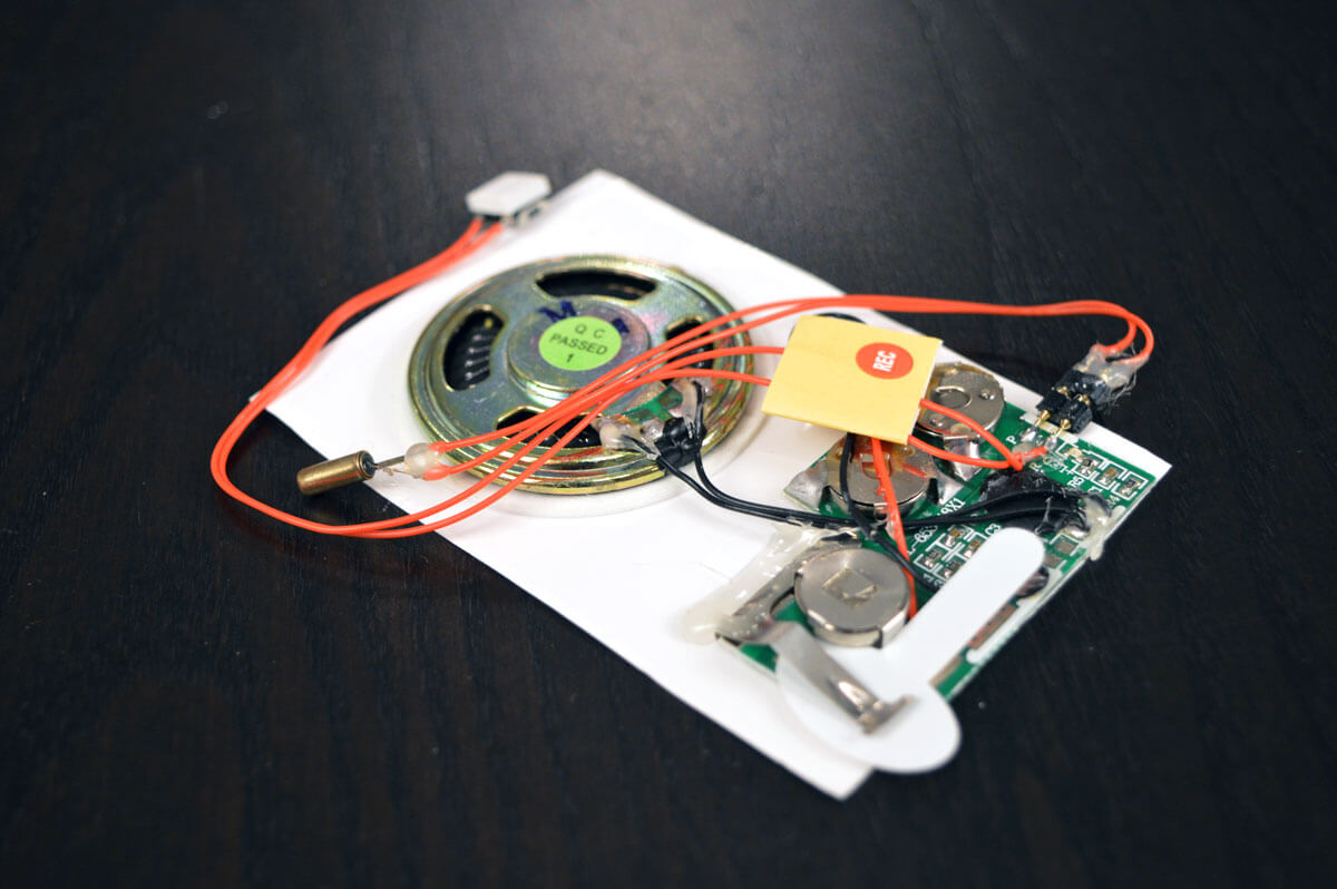 Pre-Recorded and Recordable Shock Sensor Sound Modules | bigDAWGS