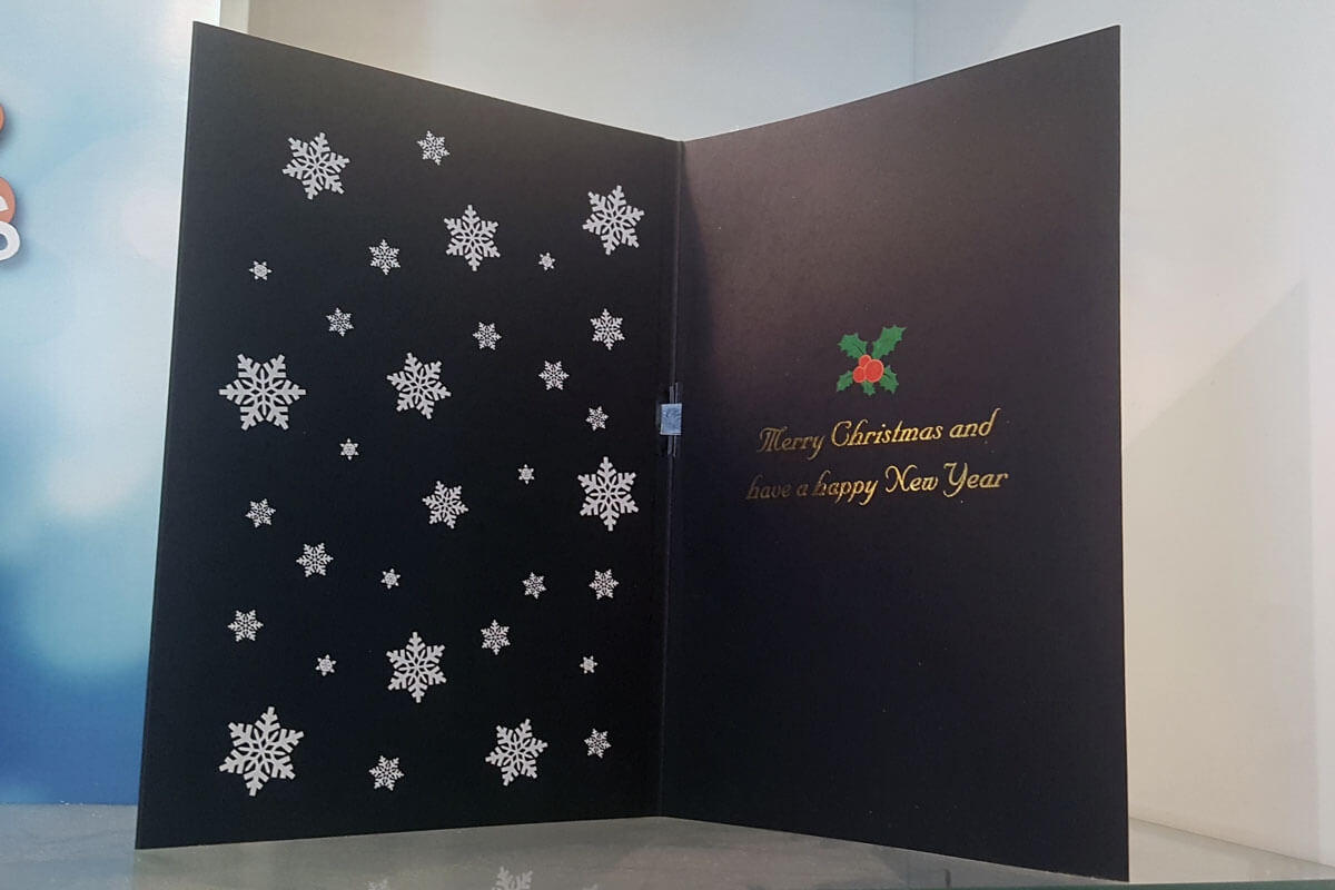 Custom Talking Greeting Cards | soundCARD | bigDAWGS